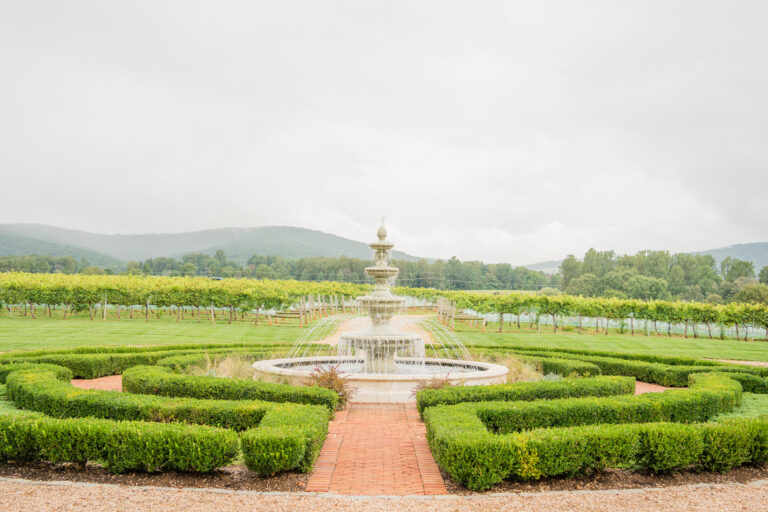 Keswick Vineyard, Charlottesville, VA - lynwaldropphotography.com